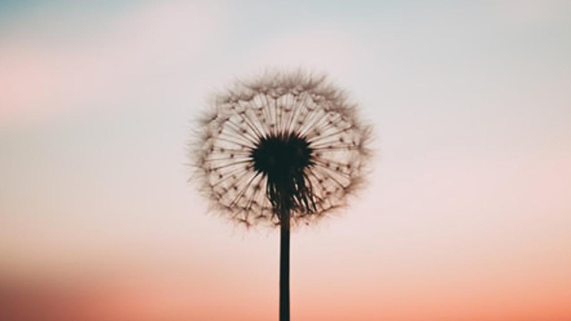 Ten Steps for Generosity With Yourself | Integral Transformative Practice